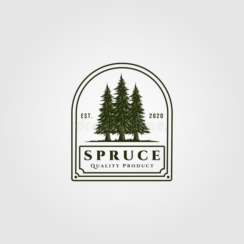 Spruce Badge Vector Illustration Design, Vintage Pine Tree Logo Design ...