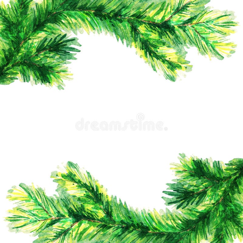 Spruce Branch Frame. Watercolor Stock Image - Image of branch, natural ...