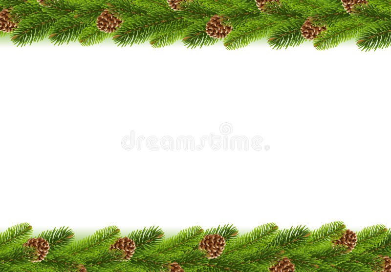 Spruce Branches with Cones Border with White Background Stock Vector ...