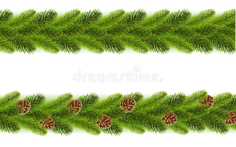 Spruce Branches with Cones Borders Set White Background Stock Vector ...