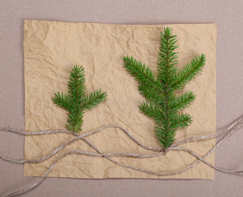 Spruce Branches Paper Texture Stock Photo - Image of celebration, tree ...