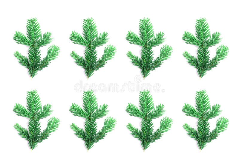 Spruce Branches Pattern on White Background. Flat Lay Composition Stock ...