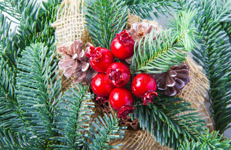 Spruce Branches and Red Berries, Top View Stock Image - Image of ...
