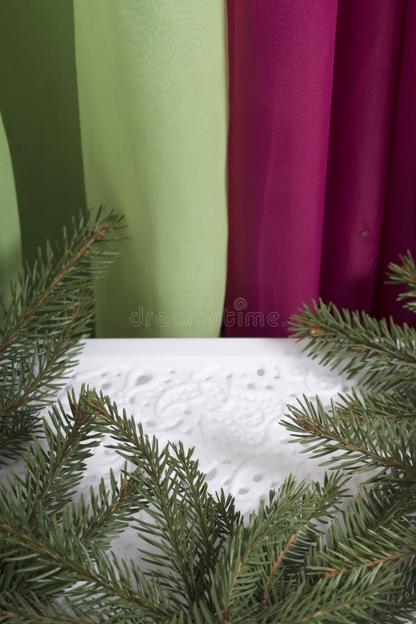 Spruce Branches on a White Tracery Background. Stock Image - Image of ...