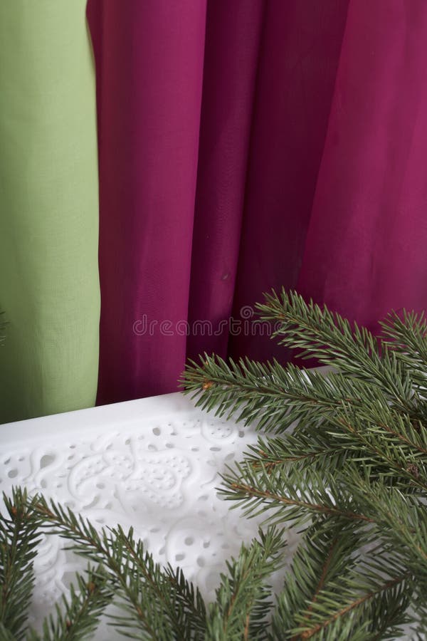 Spruce Branches on a White Tracery Background. Stock Image - Image of ...