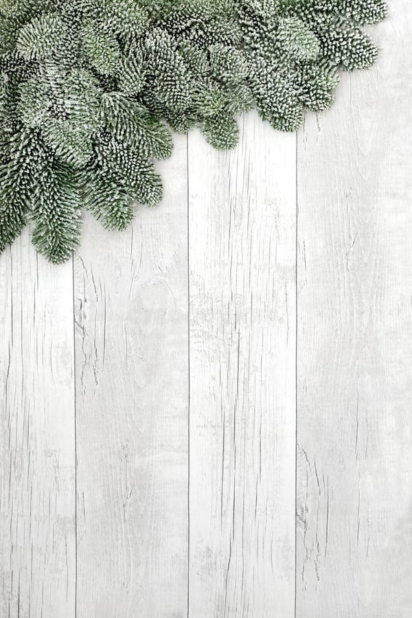 Spruce Fir Background Border Stock Image - Image of rustic, festive ...