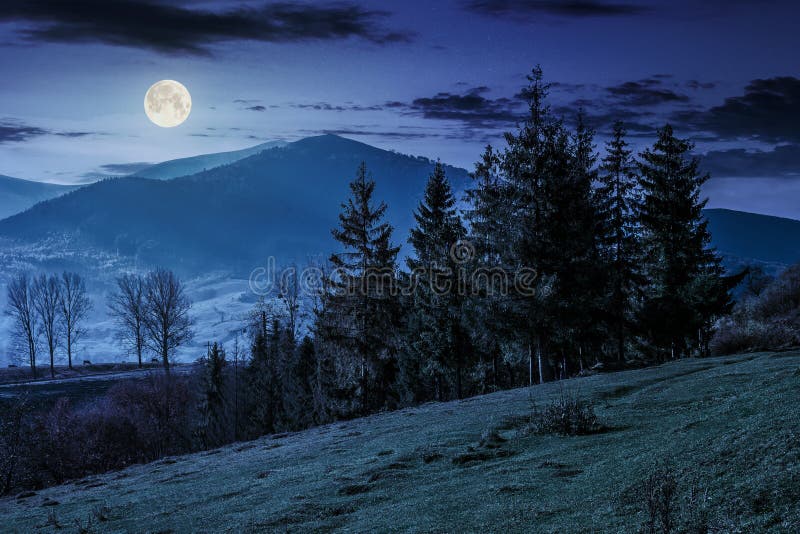 Path through Meadow To Forest in Mountain at Night Stock Photo - Image ...