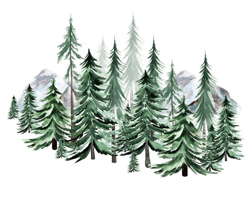 Spruce in Mountains Forest Watercolor Illustration. Stock Illustration ...