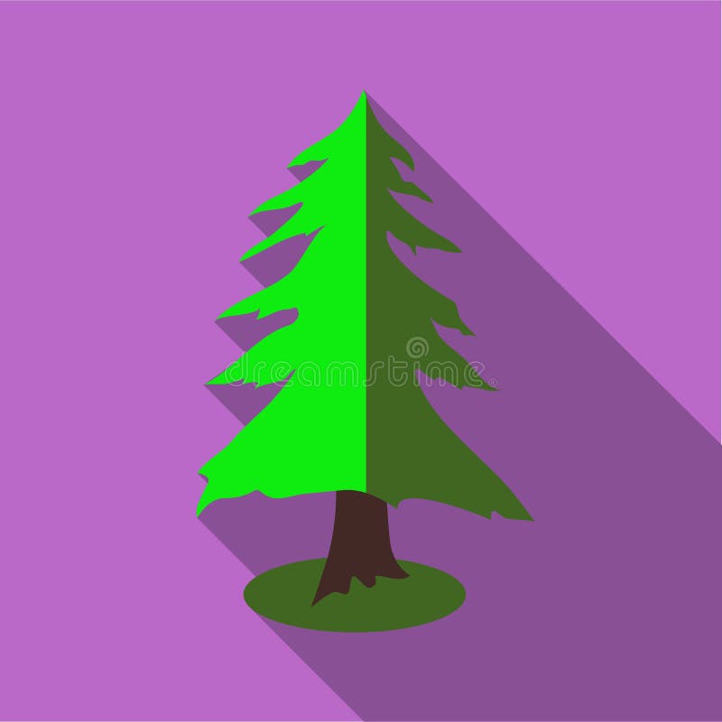 Spruce icon, flat style stock vector. Illustration of ecological - 79269759