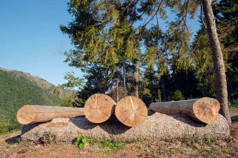 Spruce Logs stock image. Image of forest, environment - 157917245