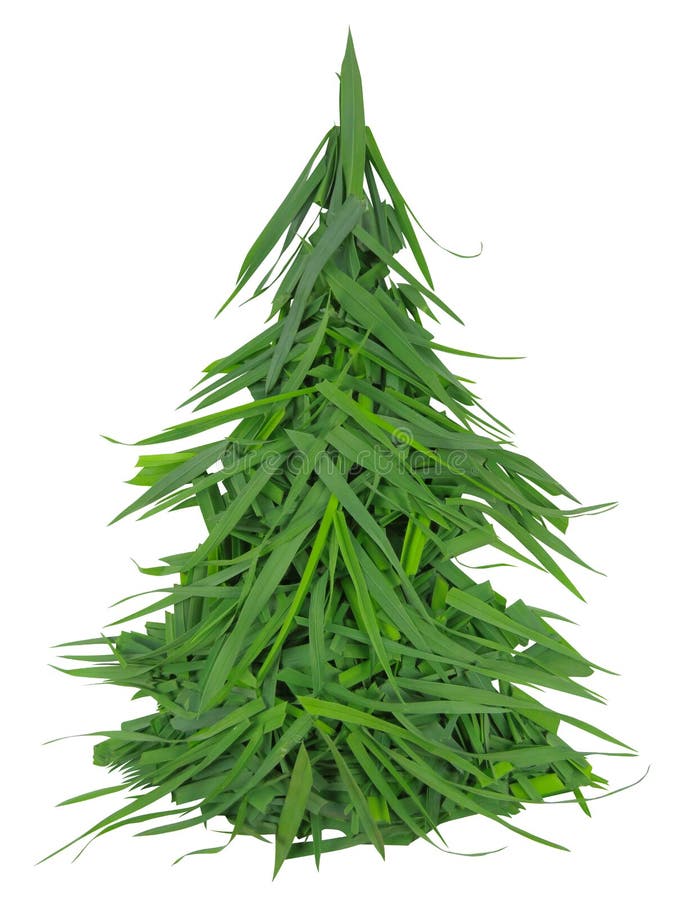 Spruce Made from Green Grass Stock Image - Image of green, meadow ...