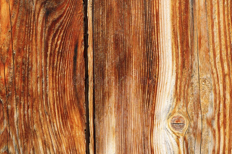 Spruce plank texture stock photo. Image of parquet, pine - 98208252