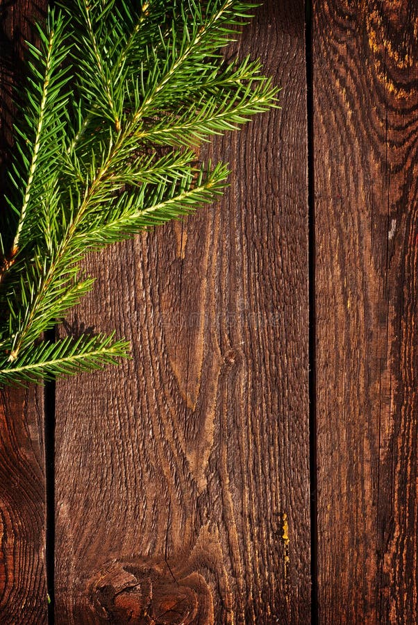 Spruce on planks stock photo. Image of table, pattern - 42714144