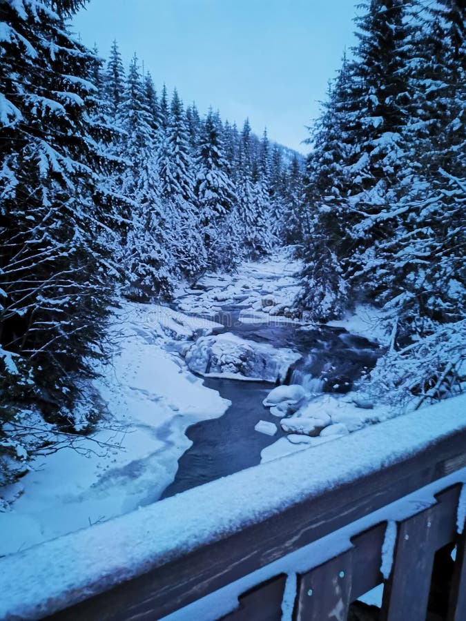 Spruce River and Railing Trip Stock Image - Image of woodland, winter ...
