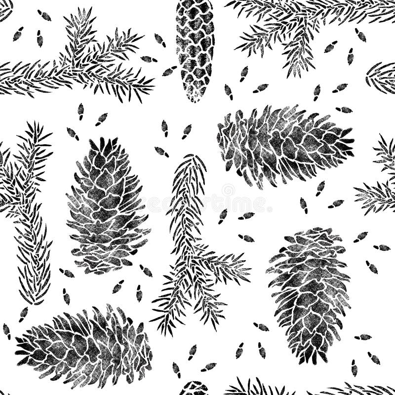 Spruce Seamless Pattern Isolated on White. Picea Branch, Cone, Seed ...