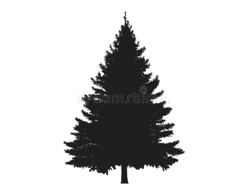 Spruce Silhouette. Christmas Tree. Christmas, New Year and Nature ...