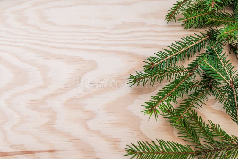 Spruce Spring Laying on Plywood Plank. Layout Made of Natural Frame ...