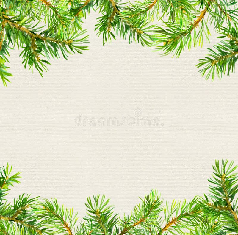 Spruce Branches in Decorative Border. Simple Christmas Tree Twigs ...