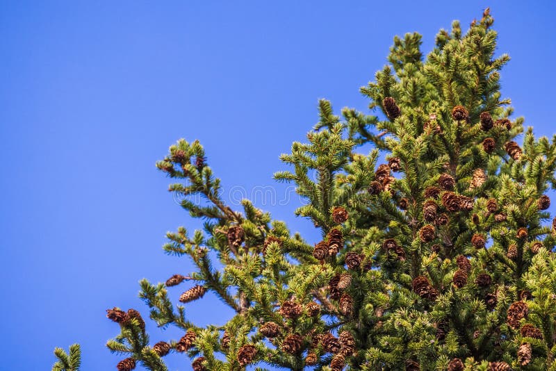 Unsder Armour Stock Photos - Free & Royalty-Free Stock Photos from ...