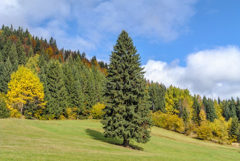 Fall stock photo. Image of blue, europe, travel, landscape - 17234976