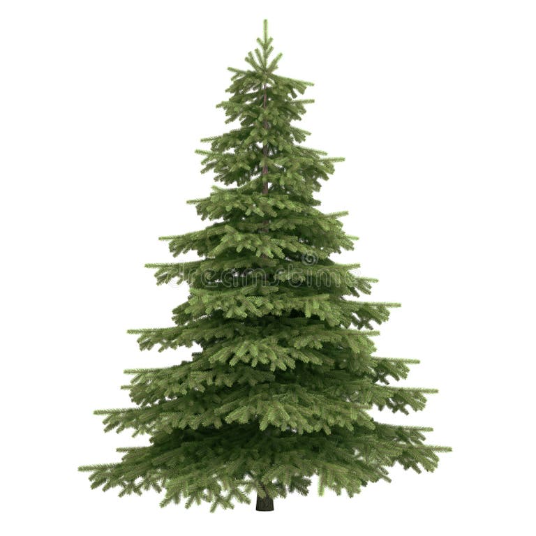 Spruce Tree Stock Illustrations – 222,663 Spruce Tree Stock ...