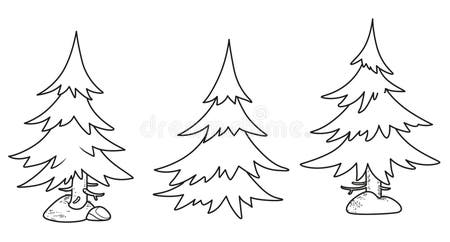 Spruce Tree Outlined Variation for Coloring Page Isolated on White ...