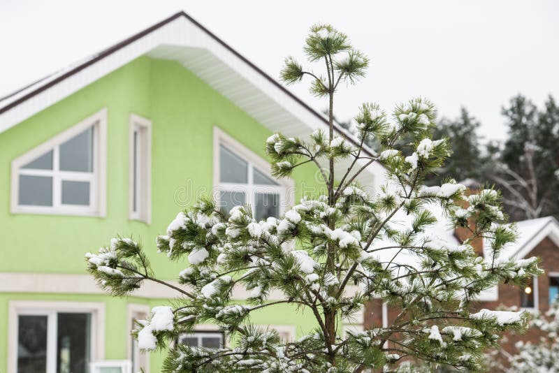 Spruce Tree Snow Front Cosy House Stock Photos - Free & Royalty-Free ...