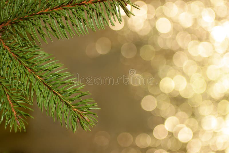Spruce twig stock image. Image of winter, green, element - 28108399