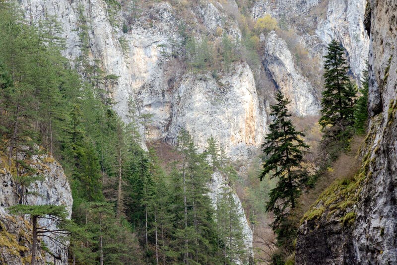 Precipitous Cliffs of Trigrad Gorge, Rhodope Mountains, Bulgaria Stock ...