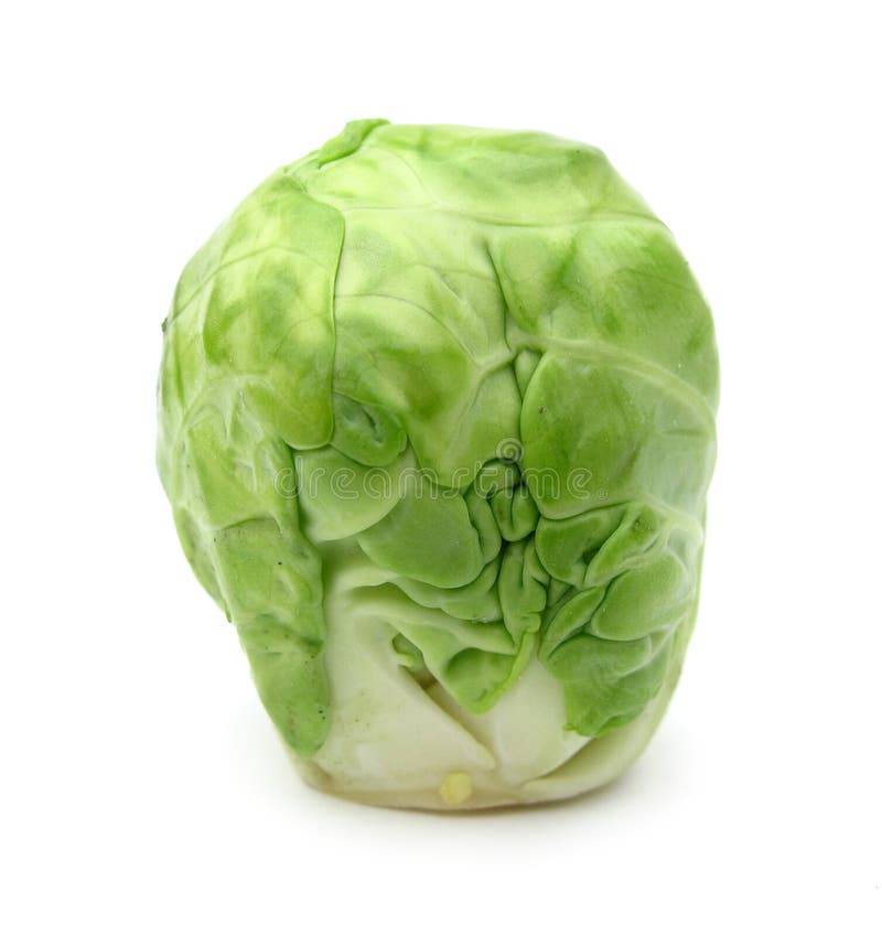 Spruitjes stock foto. Image of beeld, spruit, één, plantaardig - 12368176