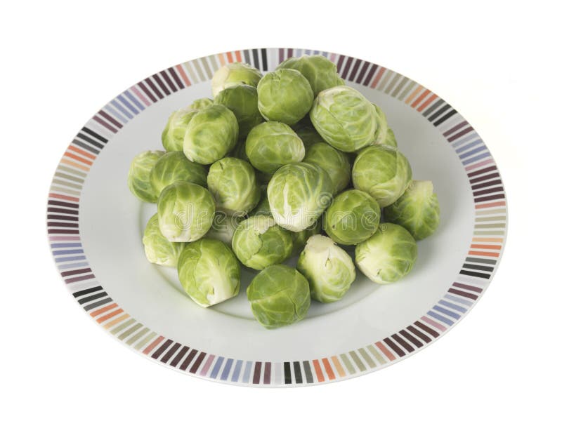 Spruitjes stock afbeelding. Image of spruiten, vegetariër - 26501259