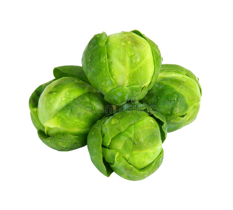 Spruitjes stock afbeelding. Image of plantaardig, voedsel - 8084561