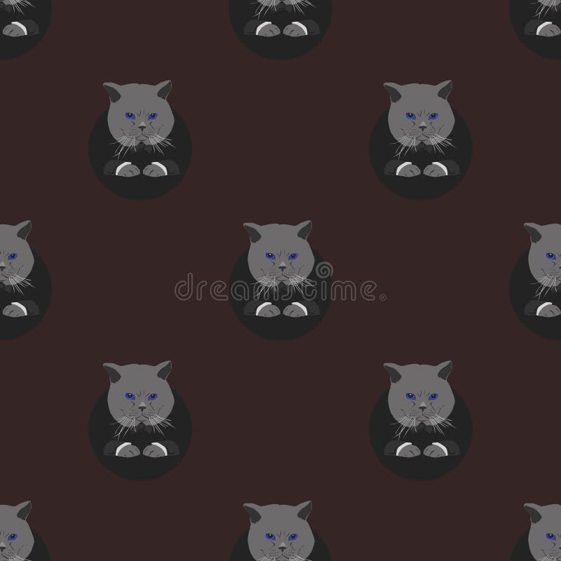 Seamless Pattern with Serious Cat Stock Vector - Illustration of bowtie ...