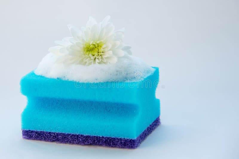 Spugna Per Lavare I Piatti Con Il Detersivo Immagine Stock - Immagine ...