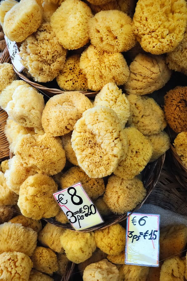 Spugne immagine stock. Immagine di subacqueo, spugna, prezzo - 2797117