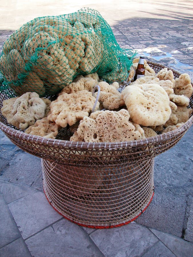 Spugne naturali fotografia stock. Immagine di salute - 13042544