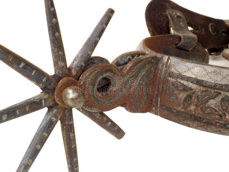 147 Sharp Spur Stock Photos - Free & Royalty-Free Stock Photos from ...