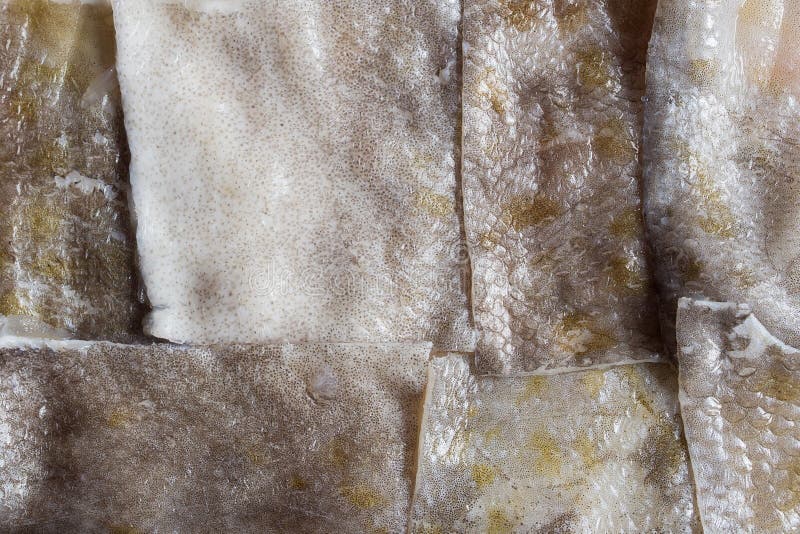 A Squama Texture of Several Raw Cod Fillets. Stock Image - Image of ...