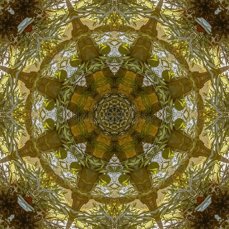 Angular Flower Arrangement Stock Illustrations – 57 Angular Flower ...