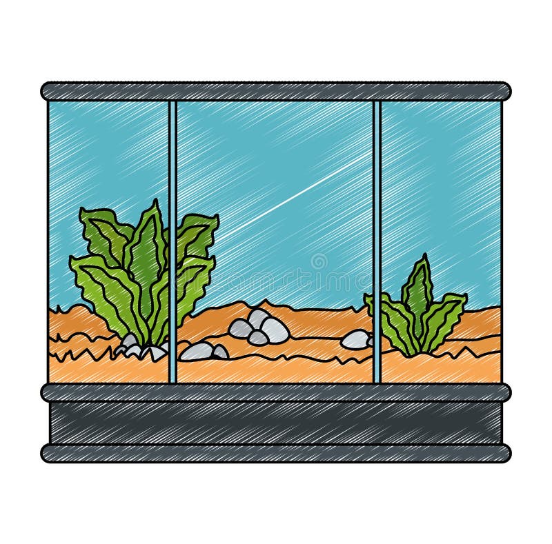 Square Aquarium without Fish Icon Stock Illustration - Illustration of ...