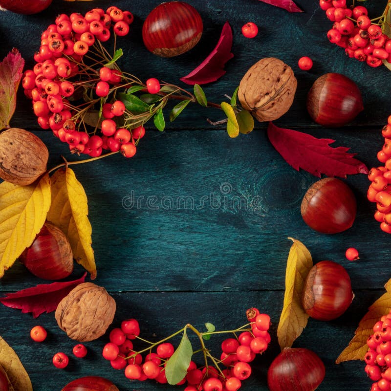 Square Autumn Background Design Template with Chestnuts and Autumn ...