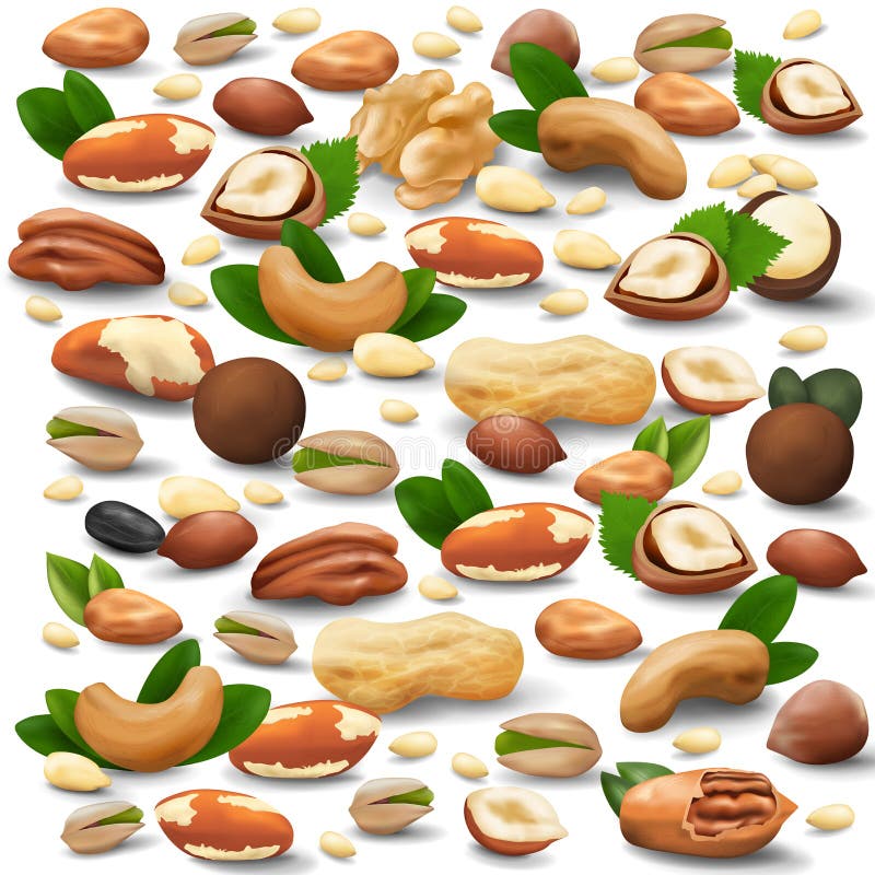 Square Background with Realistic Vector Nuts Icons Stock Illustration ...