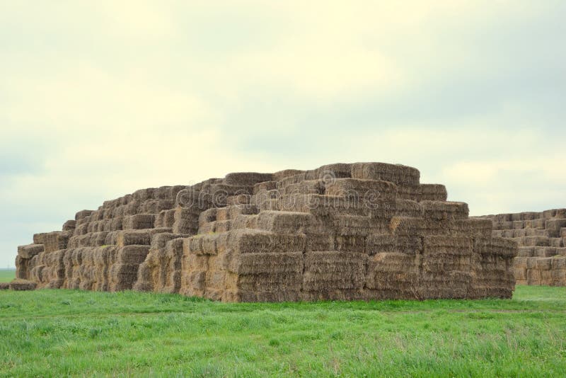 Square Hay Bales stock photo. Image of grass, spring - 31815562