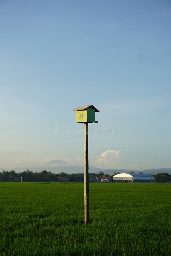A square bird house stock image. Image of bird, prairie - 224296071