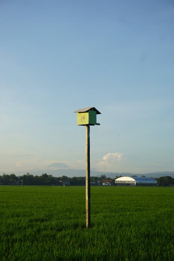 A square bird house stock image. Image of bird, prairie - 224296071