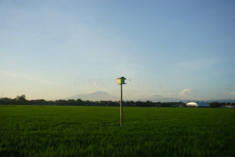 A square bird house stock image. Image of wind, morning - 224296105