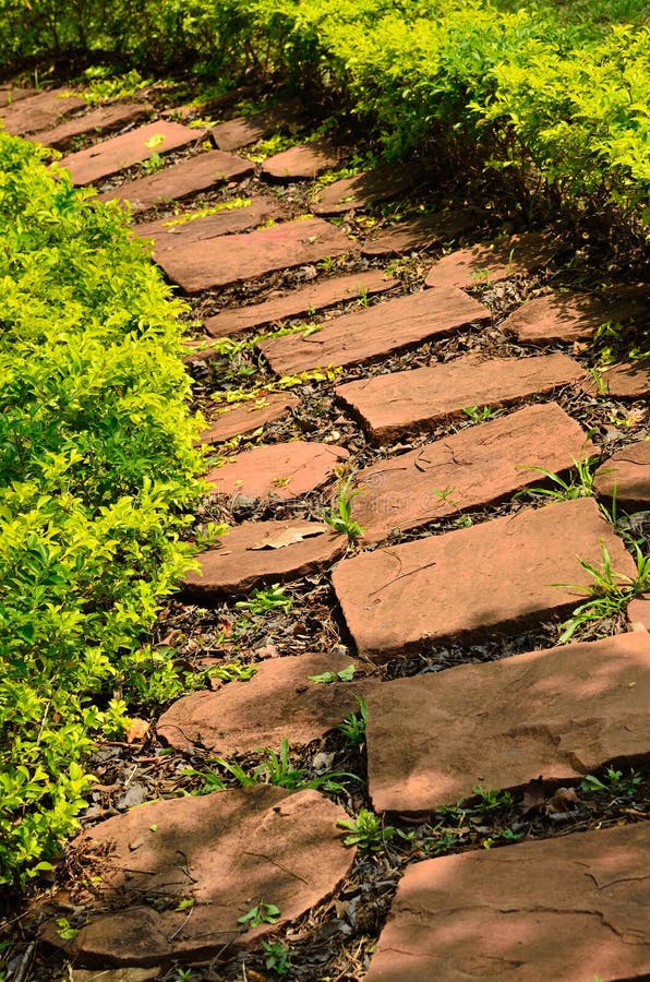 Square Block Walk Way through Garden Stock Image - Image of footpath ...