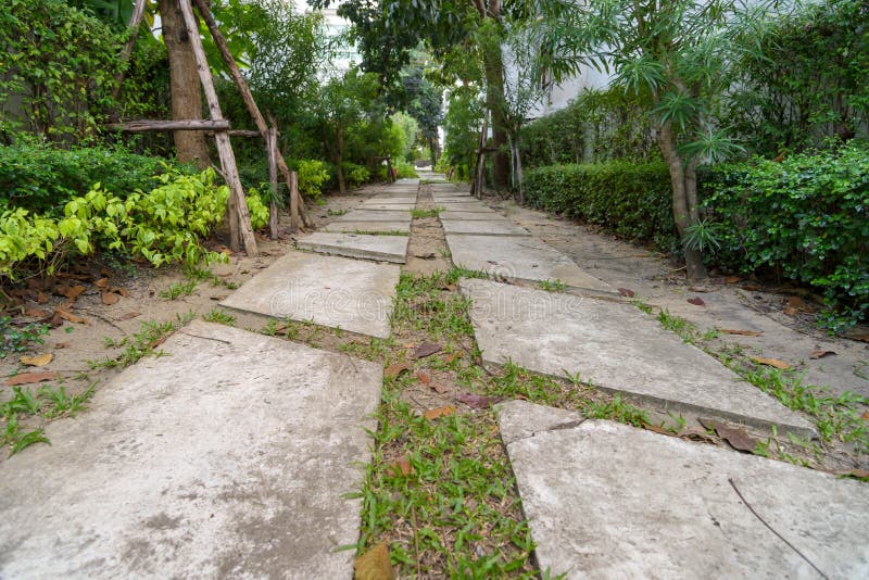 Square block walk way stock image. Image of walk, garden - 89554065