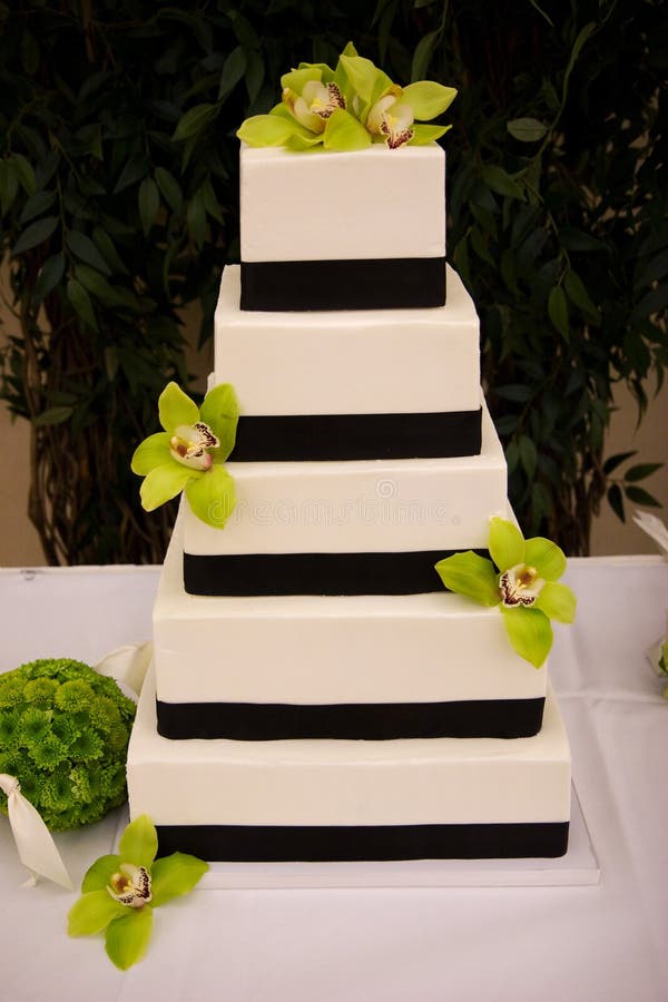 Square cake stock photo. Image of food, green, square - 6803352