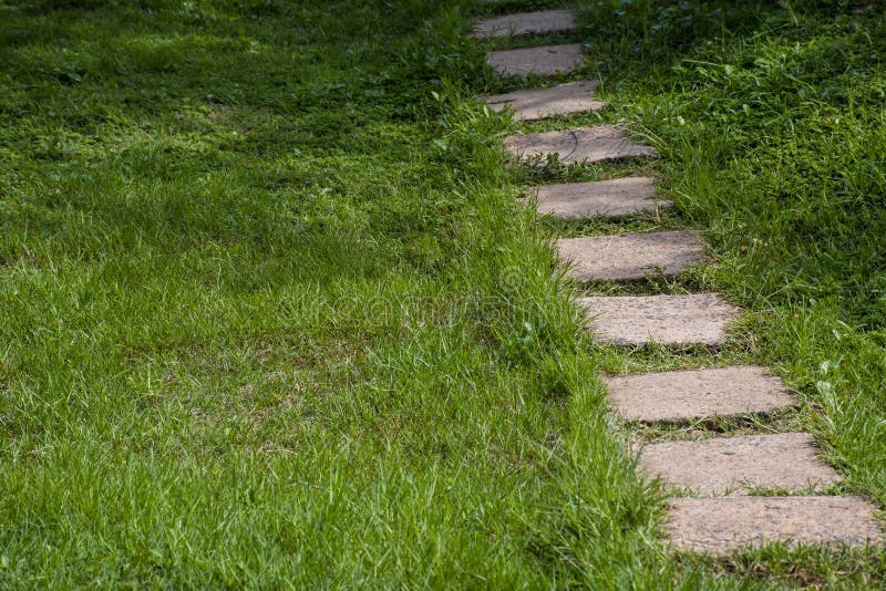 Square Cement Walkway on Grass Stock Image - Image of cement, concrete ...